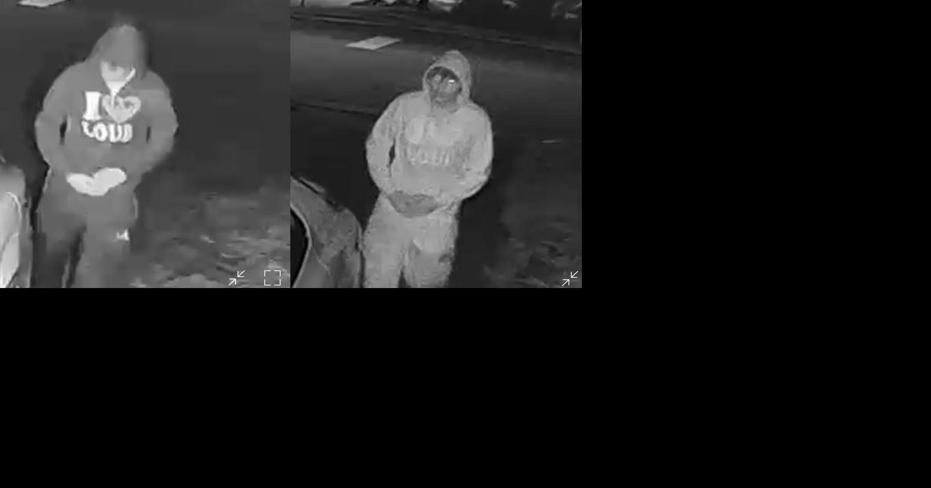 Public asked to help identify suspect in Jasper vehicle break-ins ...
