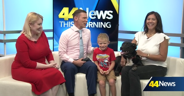 Furry Friend Friday welcomes Theo and his foster companion Weston ...