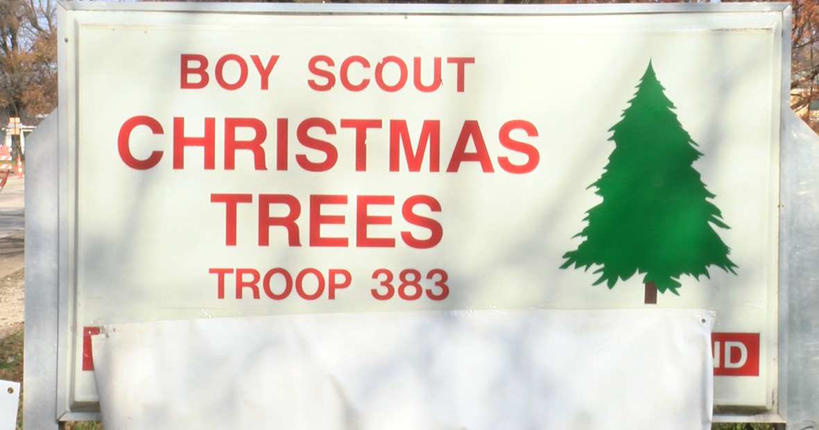 Boy Scout Troop 383 selling nearly 500 Christmas trees | News | wevv.com