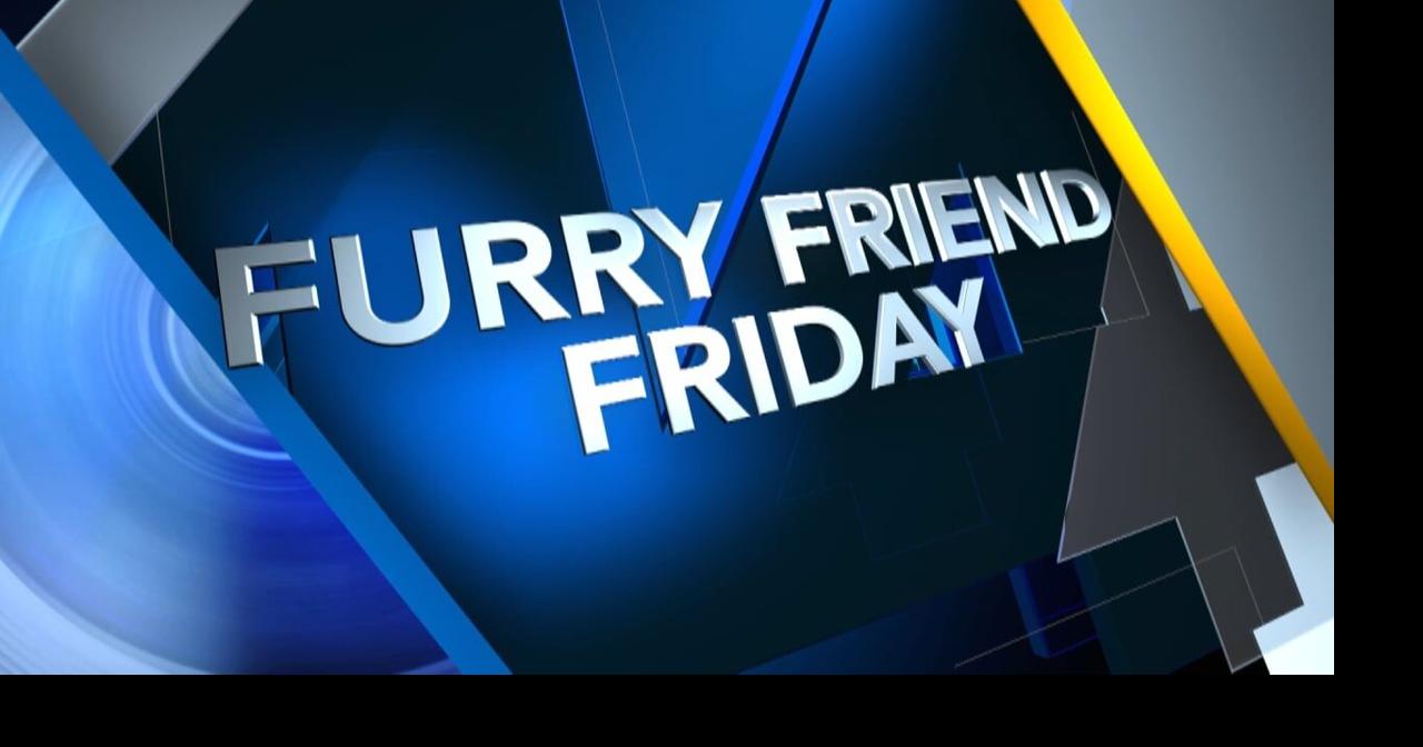 Meet Kane our newest Furry Friends Friday studio guest | News | wevv.com