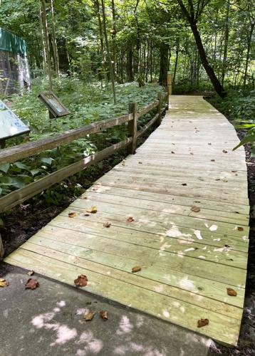 Wesselman Woods unveils new ADA accessible trail | News | wevv.com