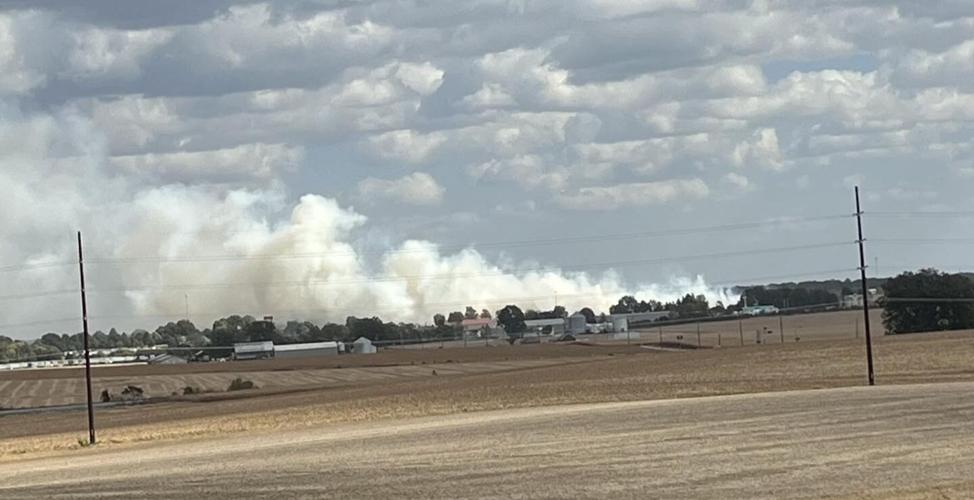 Crews battle large field fire in Gibson County | Indiana | wevv.com