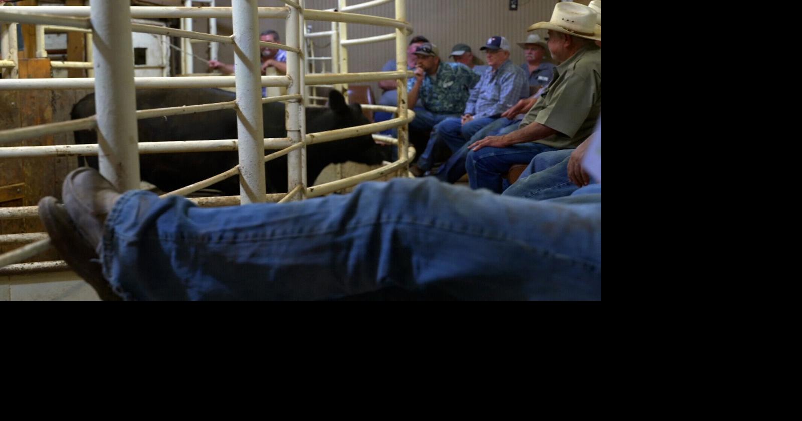 'Something's gotta give.' Relentless heat and worsening drought ...