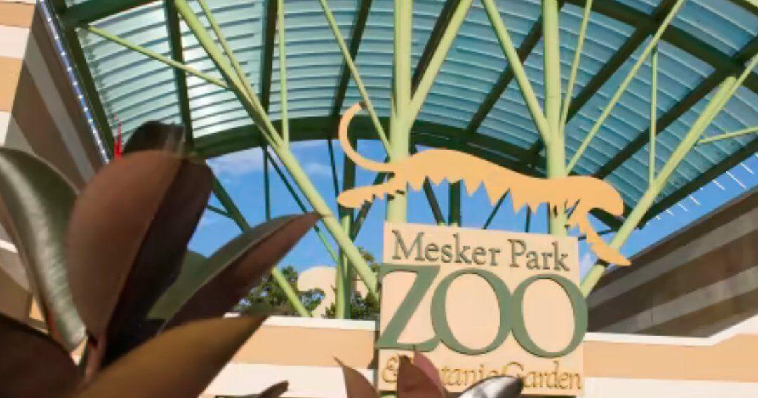 Mesker Park Zoo to host speed dating event for young professionals ...