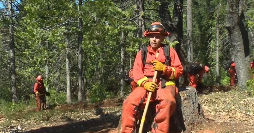 California's inmate fire program expands to young offenders | National ...