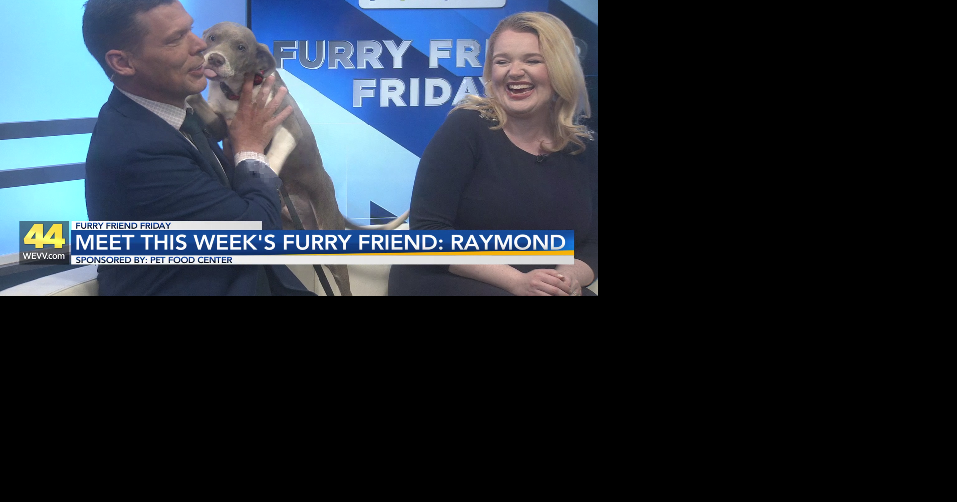 Furry Friend Friday featuring Raymond from PAAWS | Indiana | wevv.com