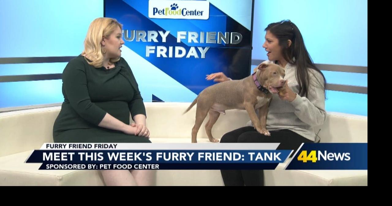 Furry Friend Friday: Meet Tank | Video | wevv.com