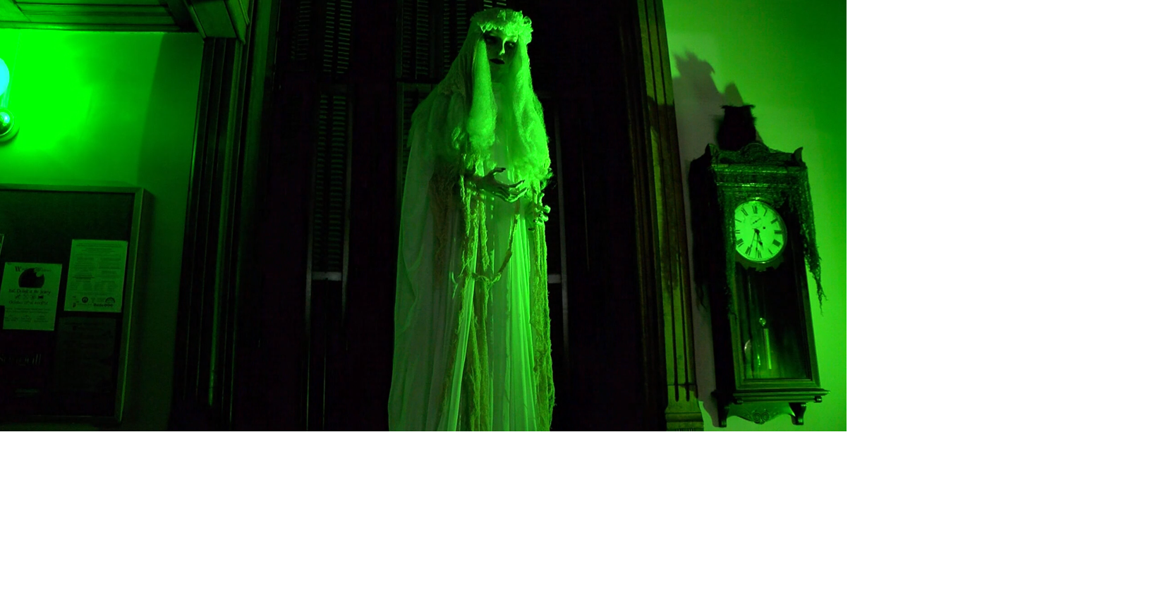 willard library ghost cam