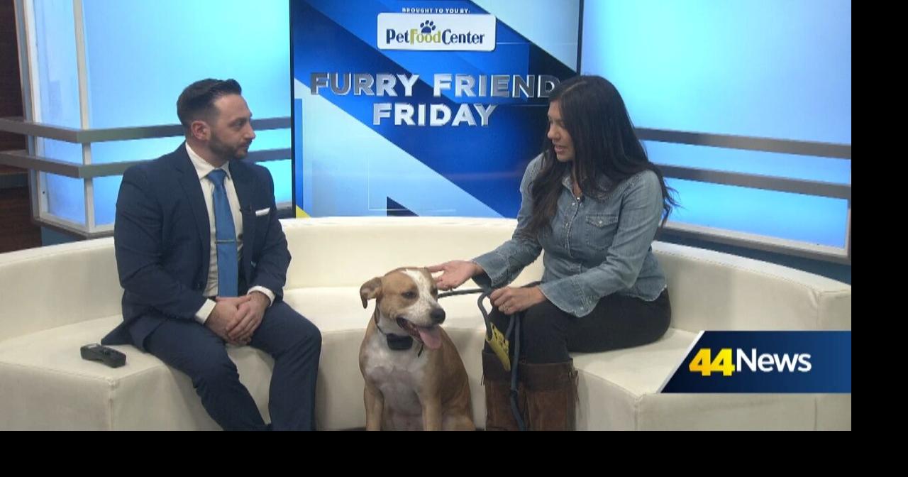 Furry Friend Friday: Meet Fred! | Video | wevv.com