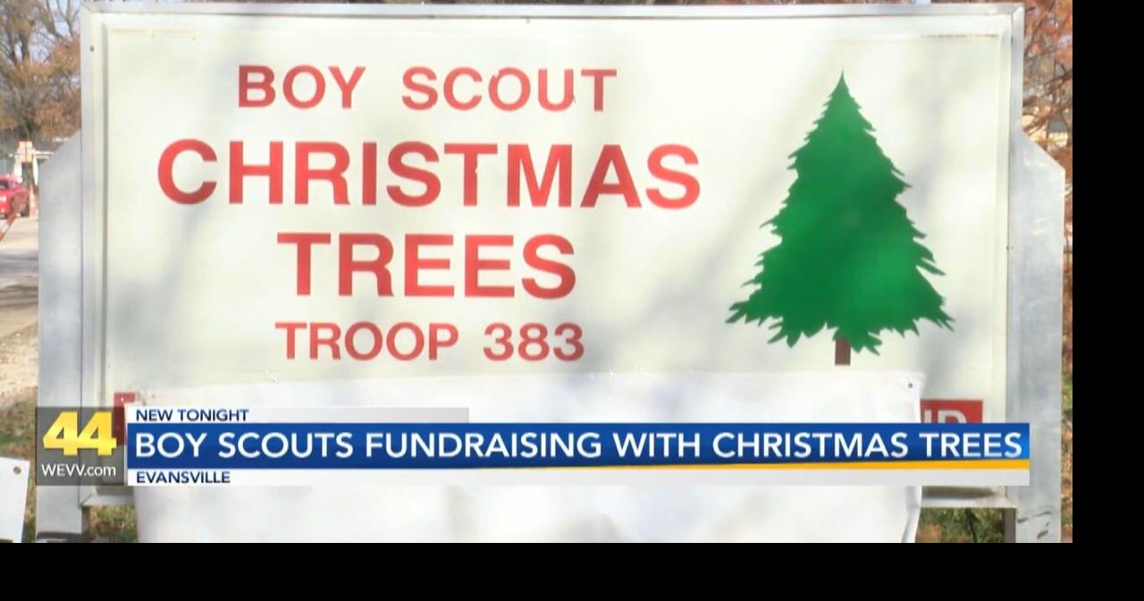 Boy Scouts selling Christmas trees | Indiana | wevv.com