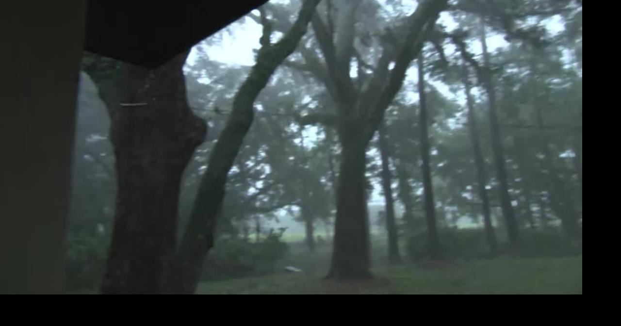 Trees fall on home during severe weather caused by Hurricane Idalia in ...