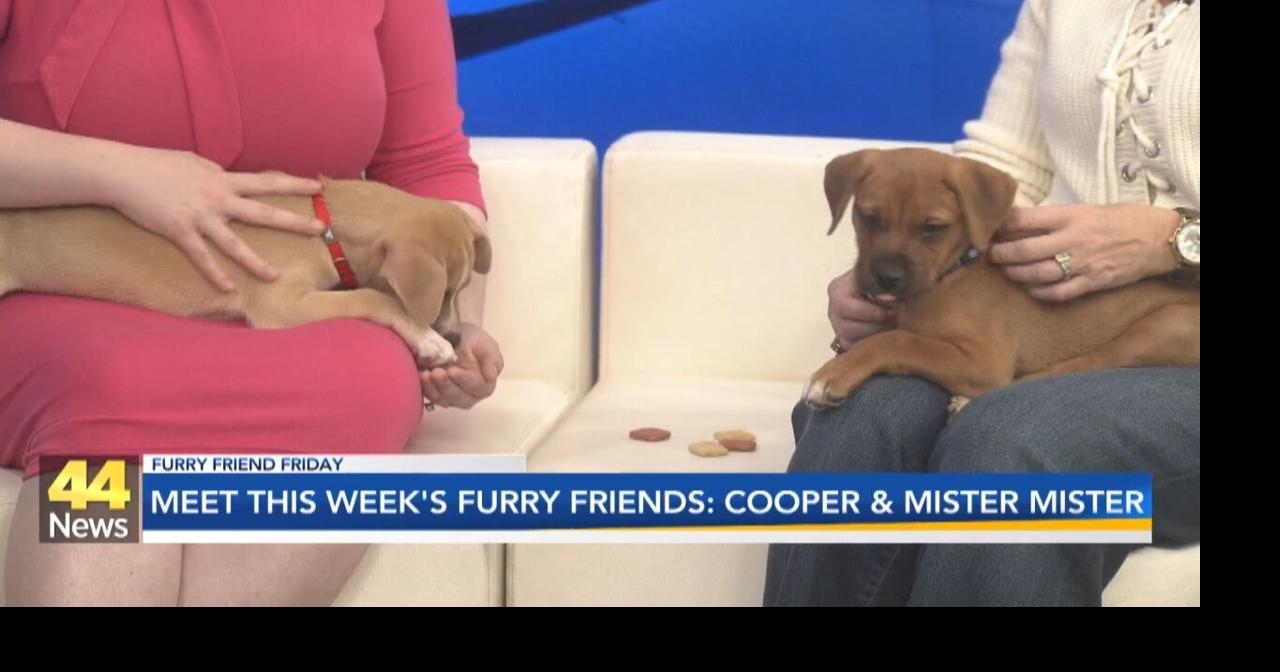Furry Friend Friday: Meet this week's furry friends, Cooper and Mister ...