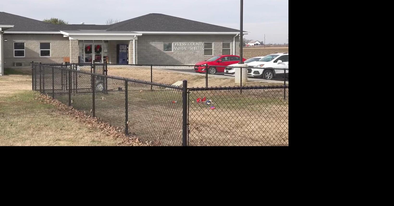 Daviess County Animal Care and Control seeing a positive trend with ...