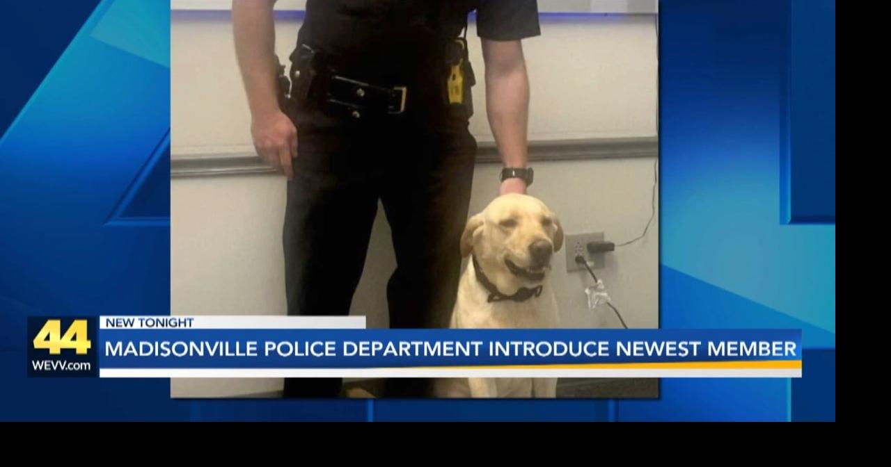 Madisonville Police Department introduces critical incident response K9 ...