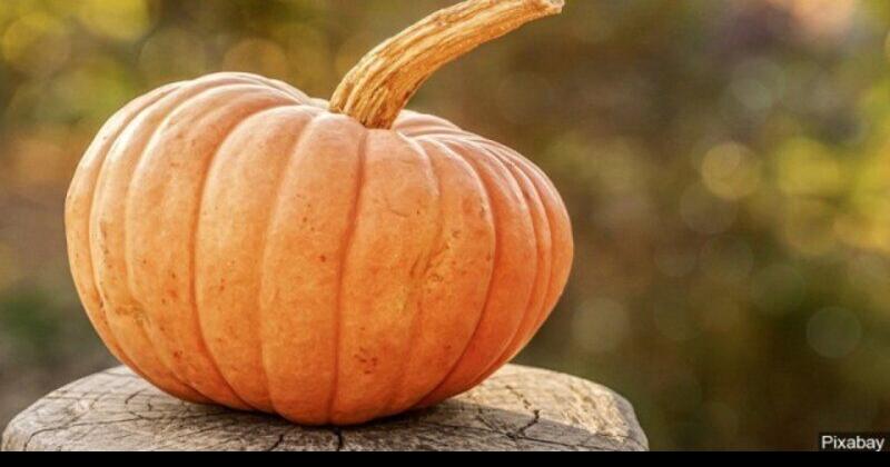 Fall Farms Open for the Season | Indiana | wevv.com