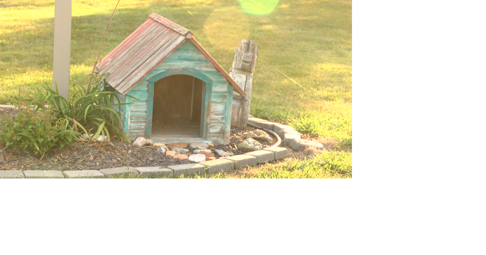 Warrick Humane Society’s “Fall in love with Adoption” event | News ...