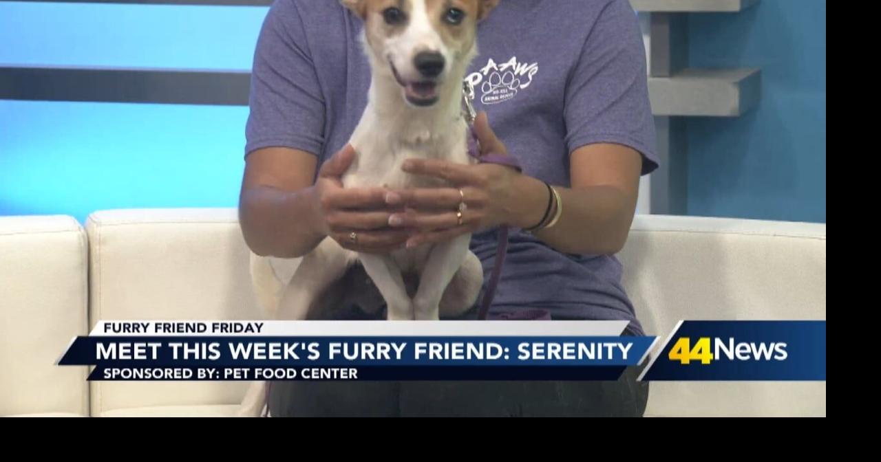 Furry Friend Friday: Meet Serenity | Indiana | wevv.com