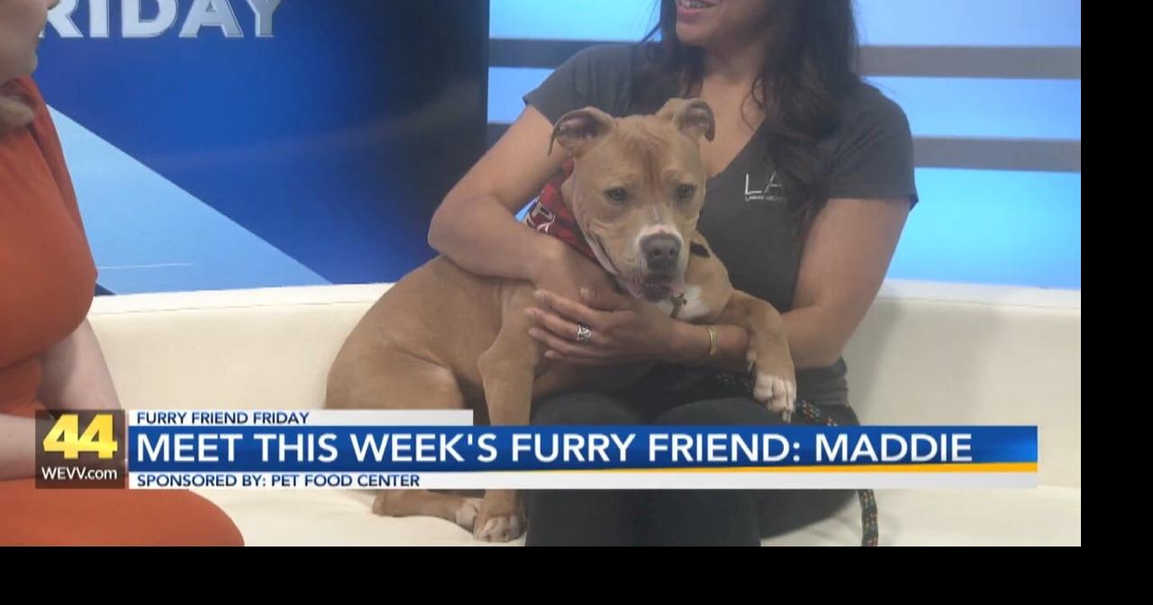 Furry Friend Friday: Meet Maddie | Video | wevv.com