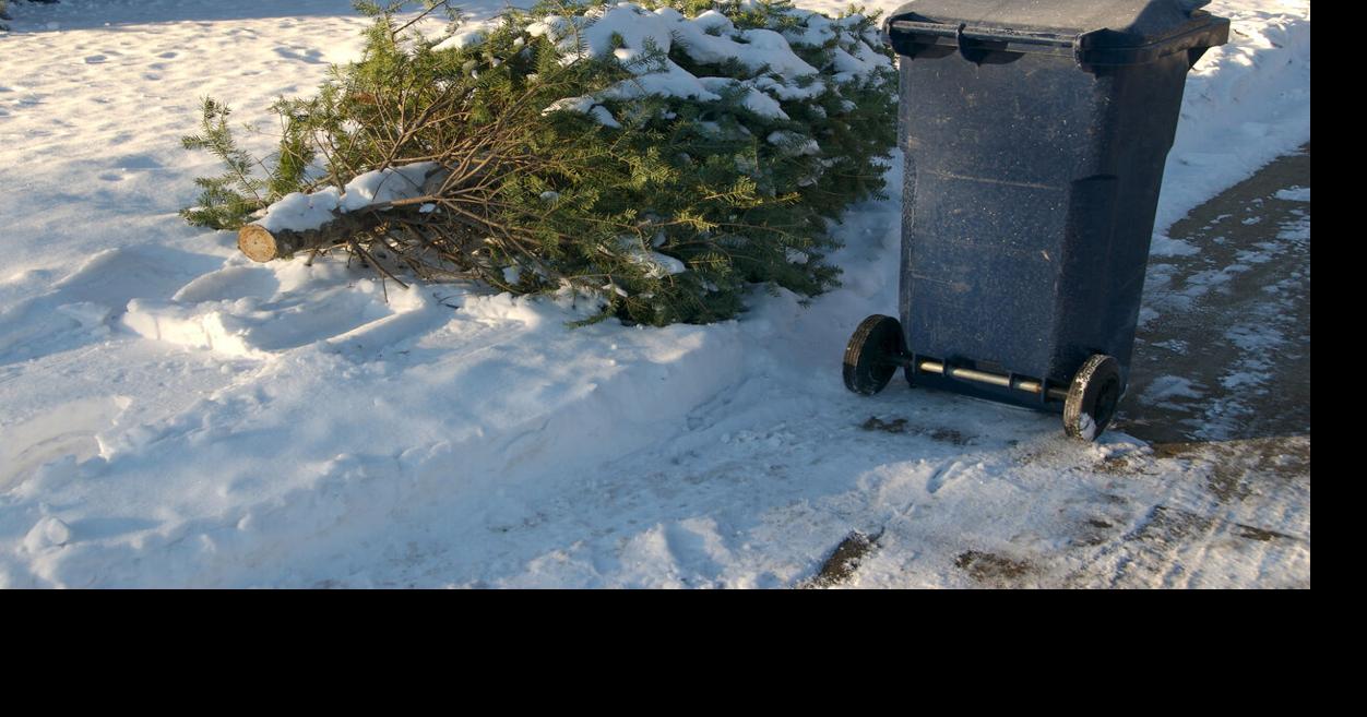 EWSU offers easy Christmas tree disposal after the holidays | News ...