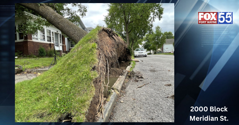 Fort Wayne storm damage, July 16th | | wfft.com