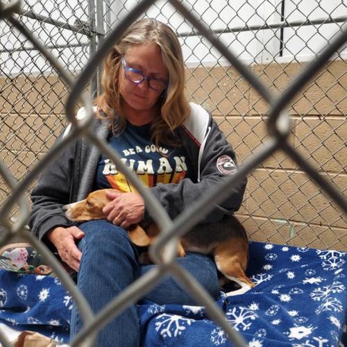 Humane Fort Wayne announces $175,976 raised from Giving Tuesday ...