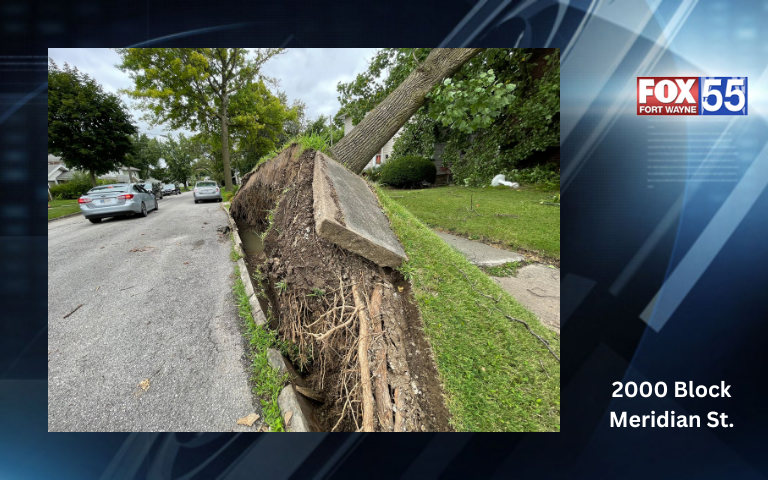 Fort Wayne storm damage, July 16th | | wfft.com