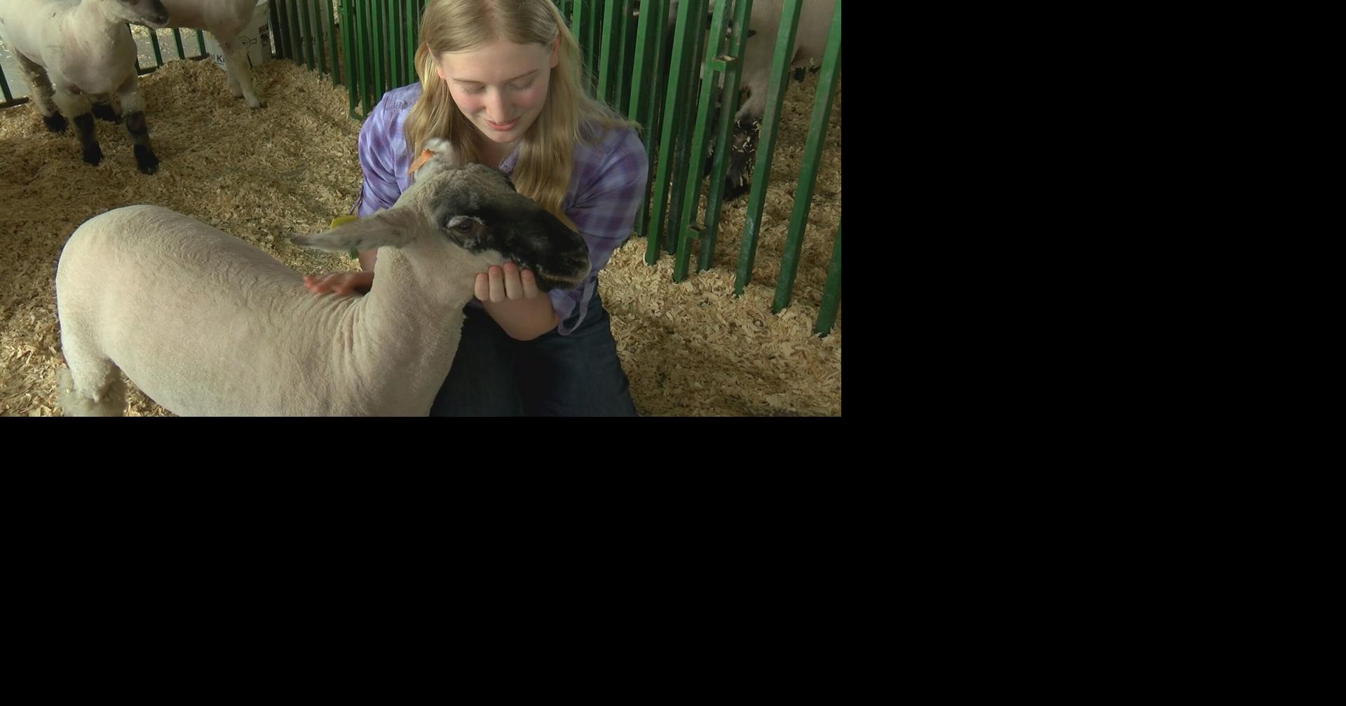 Kids Who Care: 4-H Top Achiever showcases animals at Allen County Fair ...