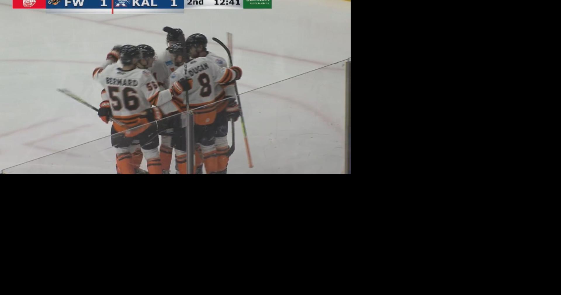 K's down Wings 3-2 on road | Komets | wfft.com