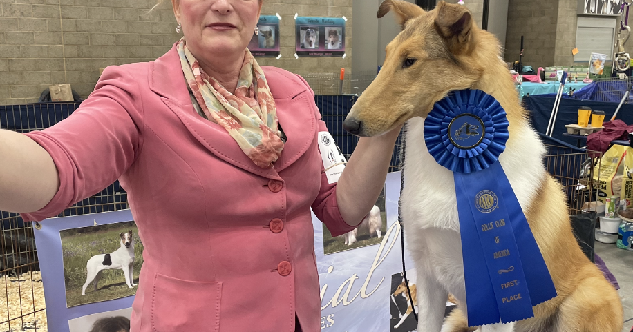 Allen County War Memorial Coliseum hosts Collie Club of America Dog ...