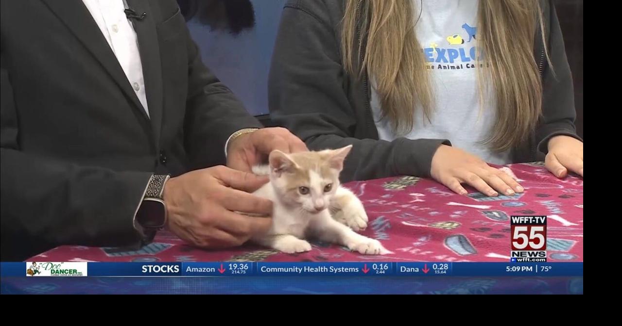 Paws-itively Pets: Snowball | Video | wfft.com