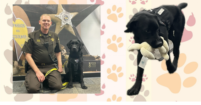 Grant County Sheriff's Office welcomes K9 Deputy Jeb | Animals | wfft.com