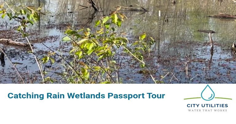Tour Fort Wayne wetlands for free tomorrow | News | wfft.com