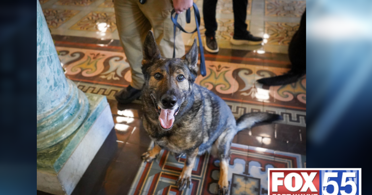 Allen County Sheriff's Department celebrates several K-9 officer ...