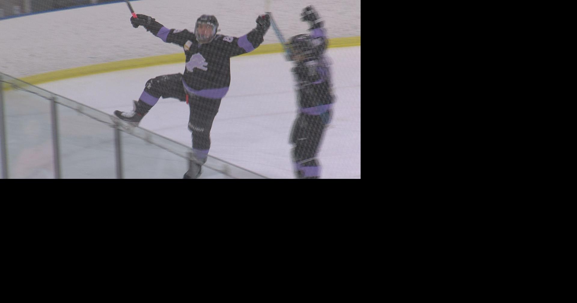 Leo tops Homestead to open high school hockey season | High School ...