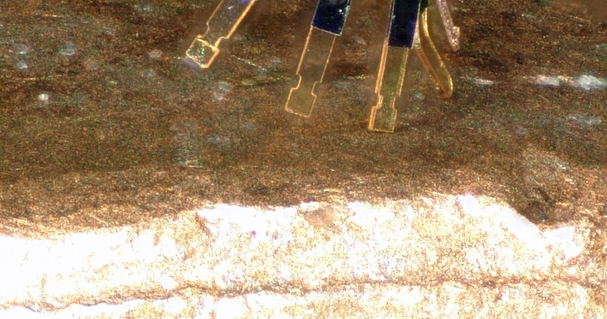 Northwestern engineers invent the world's smallest remote-controlled ... Northwestern engineers invent the world's smallest remote-controlled ...