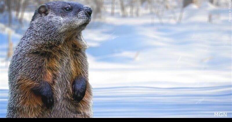 Salamonie Preschool offers ‘G is for Groundhog’ | Indiana | wfft.com