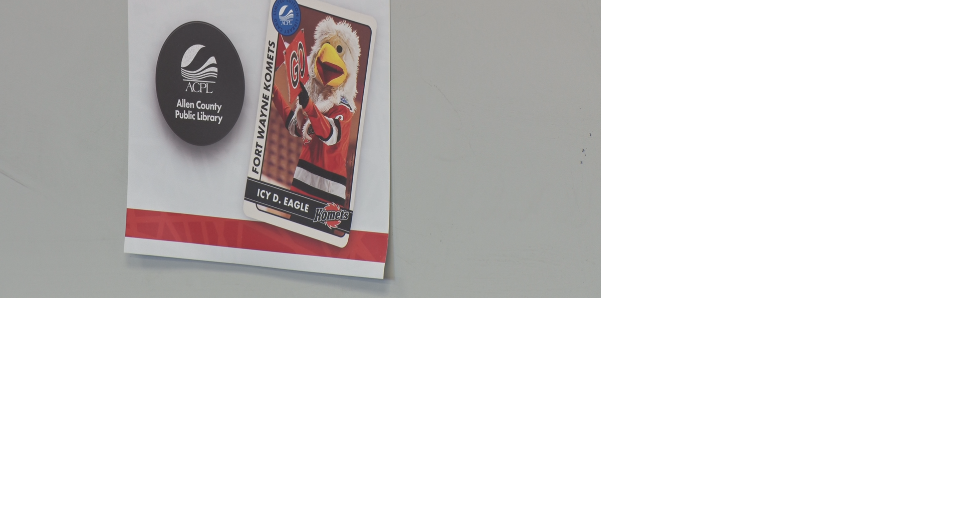 ACPL introduces new Icy D. Eagle library card | News | wfft.com
