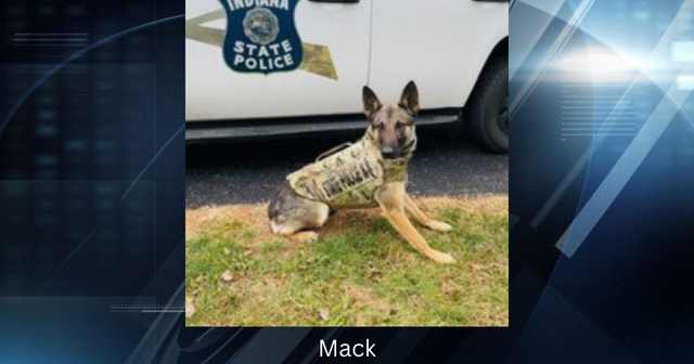 ISP K9 officer Mack receives donation of body armor | News | wfft.com