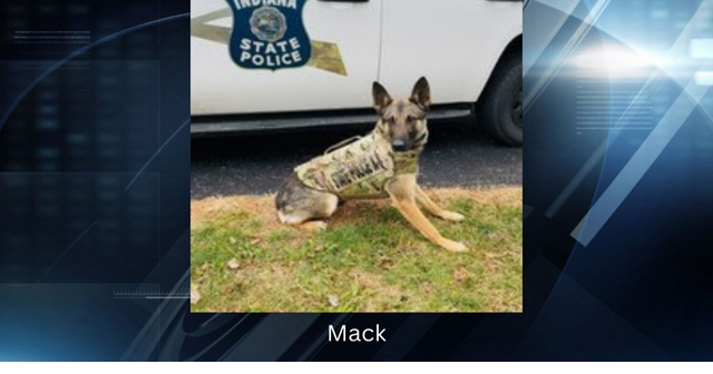 ISP K9 officer Mack receives donation of body armor | News | wfft.com