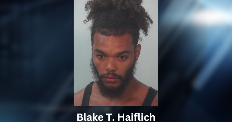 Man pleads guilty to pointing gun at person's face, pulling trigger ...