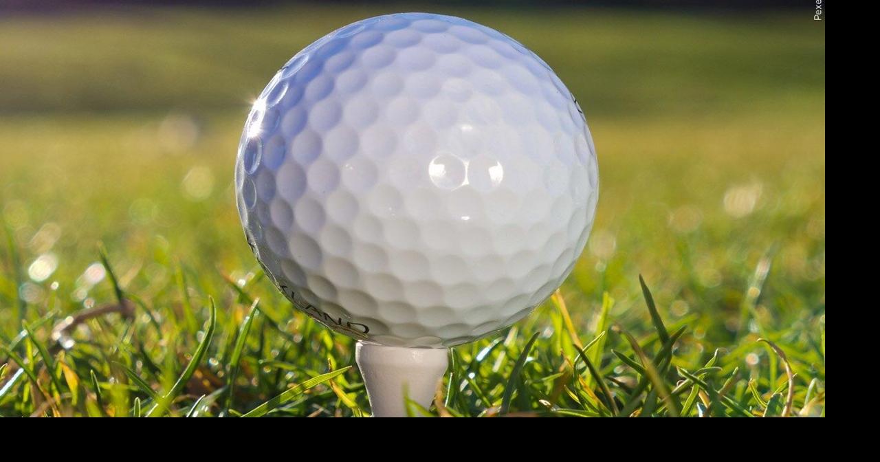 Plymouth, Homestead, Warsaw advance to Boys Golf State Championship ...