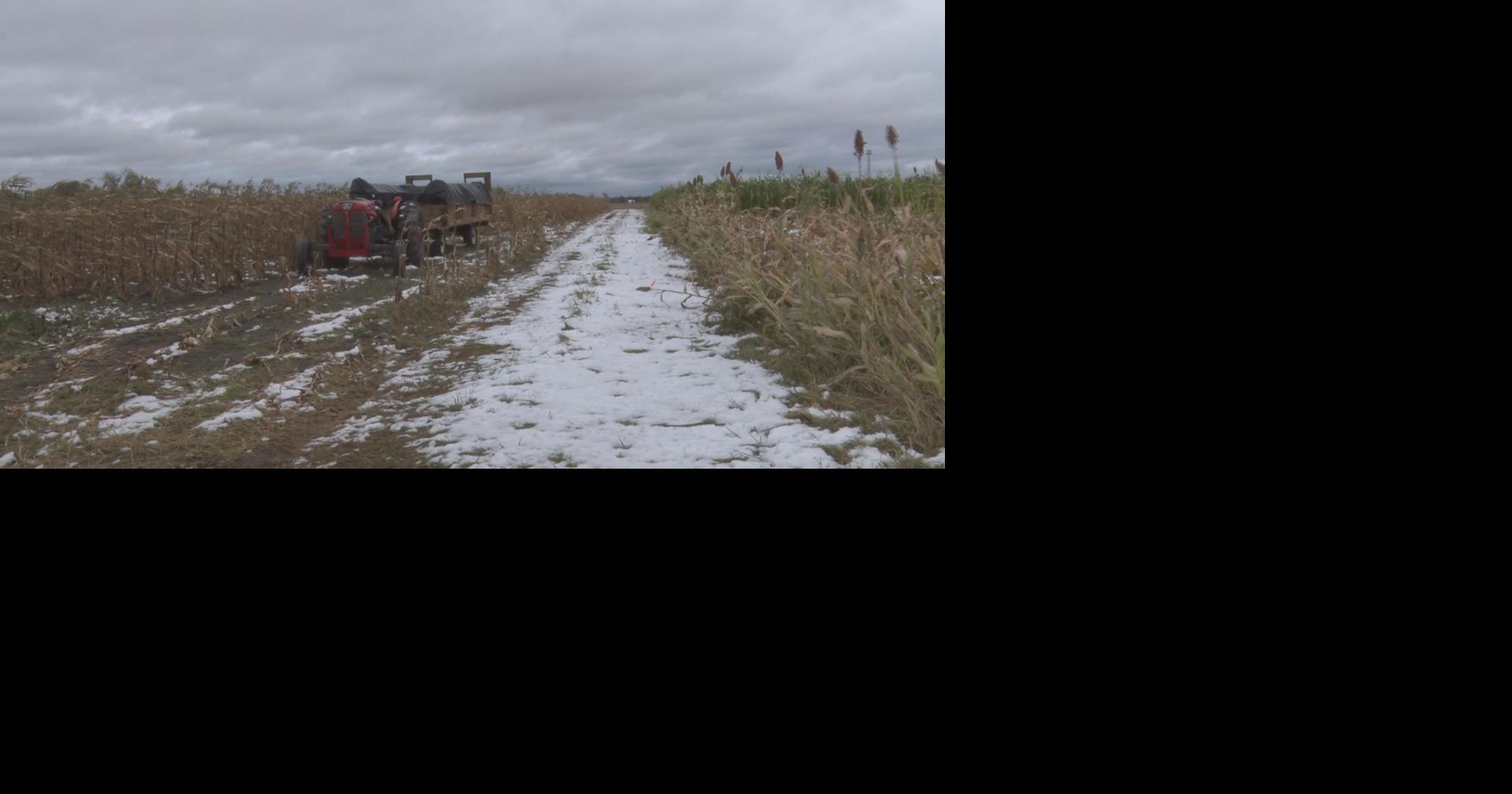 Farmer says snowfall shouldn't affect harvest season | News | wfft.com