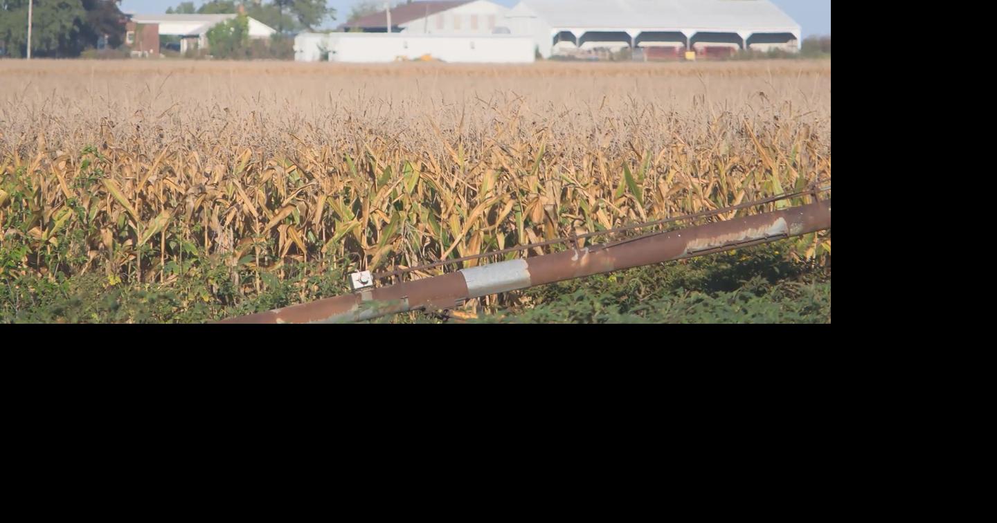 Indiana farmers plant 1.6M acres of cover crops, boosting soil health ...