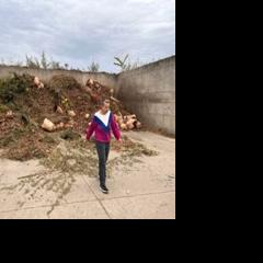 City leaf collection starts next week, here are some ways you can ...