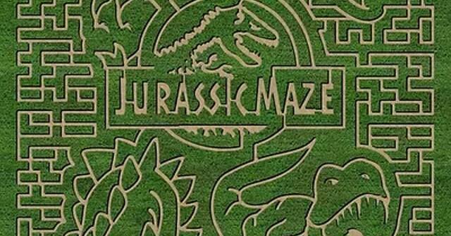 The Amazing Fall Fun returns for the season with Jurassic corn maze and ...