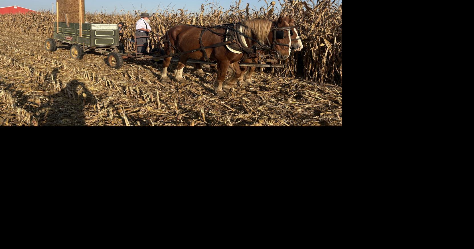 Competitive corn harvesting: Hoosiers compete at 2025 State Corn ...