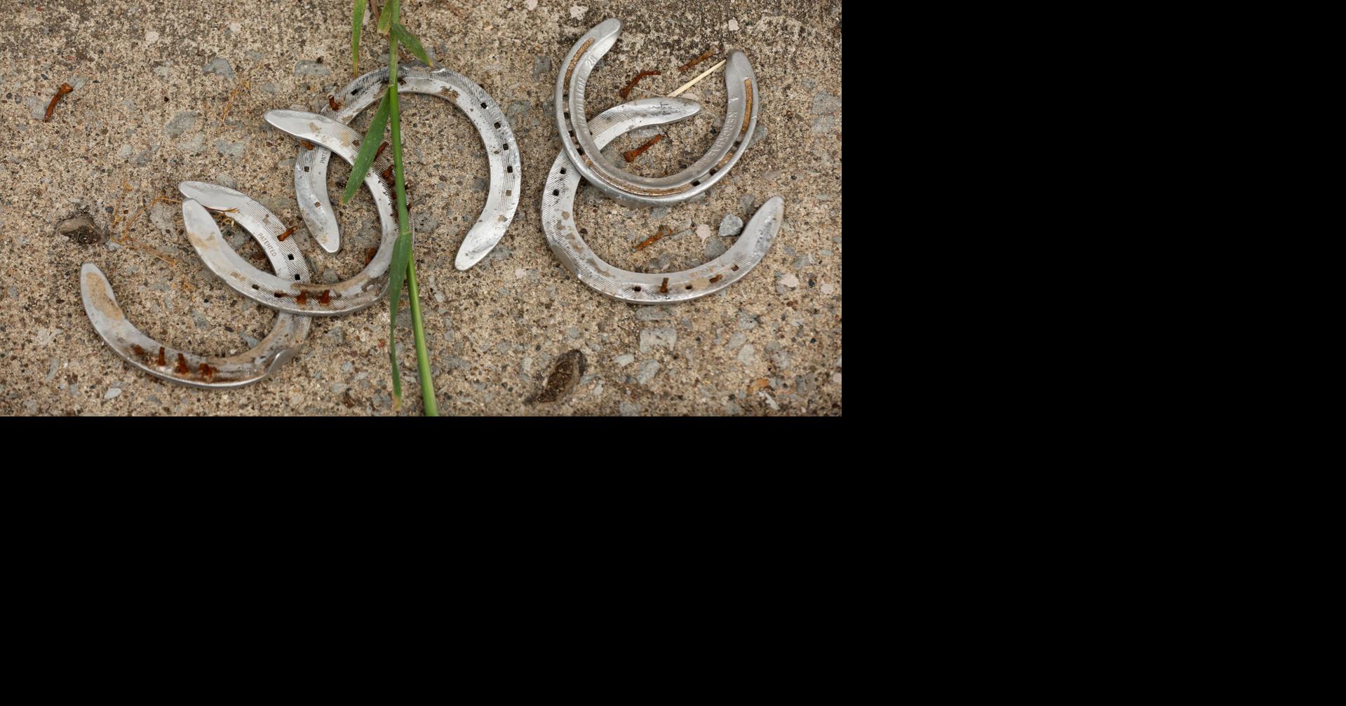 Churchill Downs: After four horses die, home of Kentucky Derby calls ...