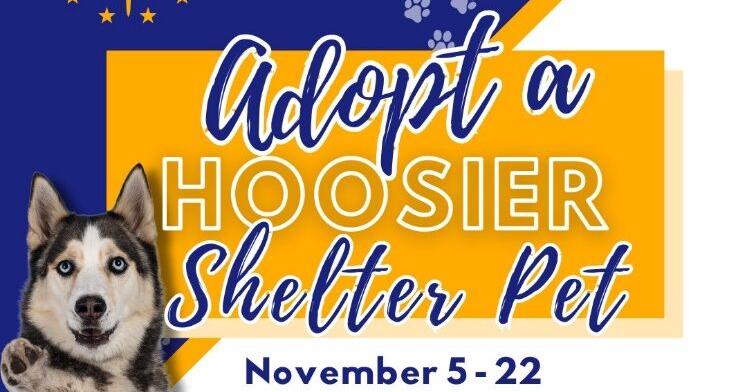 Fort Wayne Animal Care and Control reducing adoption fees for Adopt a ...