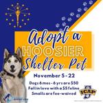 Fort Wayne Animal Care and Control reducing adoption fees for Adopt a ...