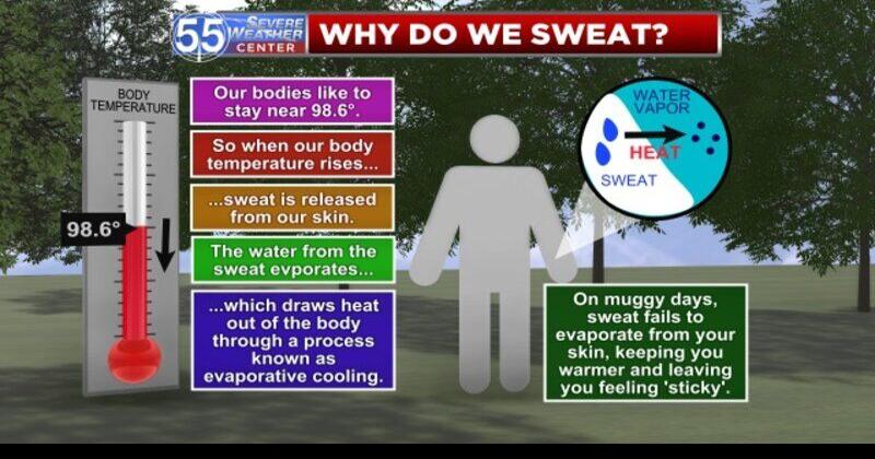 Weather Wonders: Why do we sweat? | Local | wfft.com